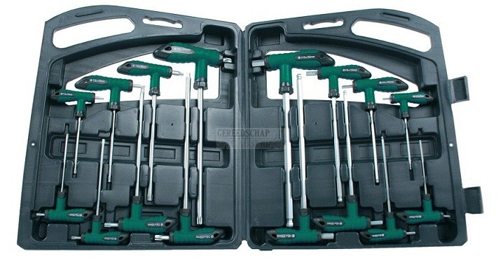 MANNESMANN 16-delige set inbus + torx | BESTEL ONLINE